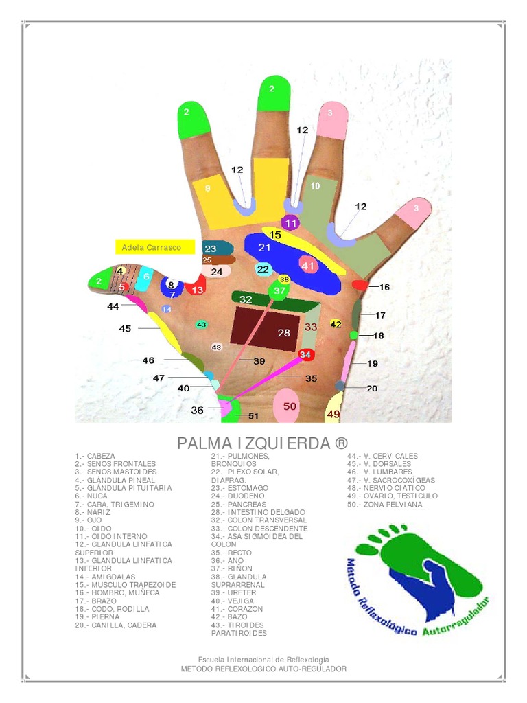 MAPAS MANOS Reflexologia | PDF