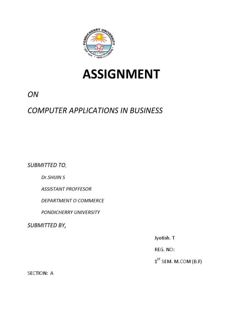 Assignment: ON Computer Applications in Business | Download Free PDF ...