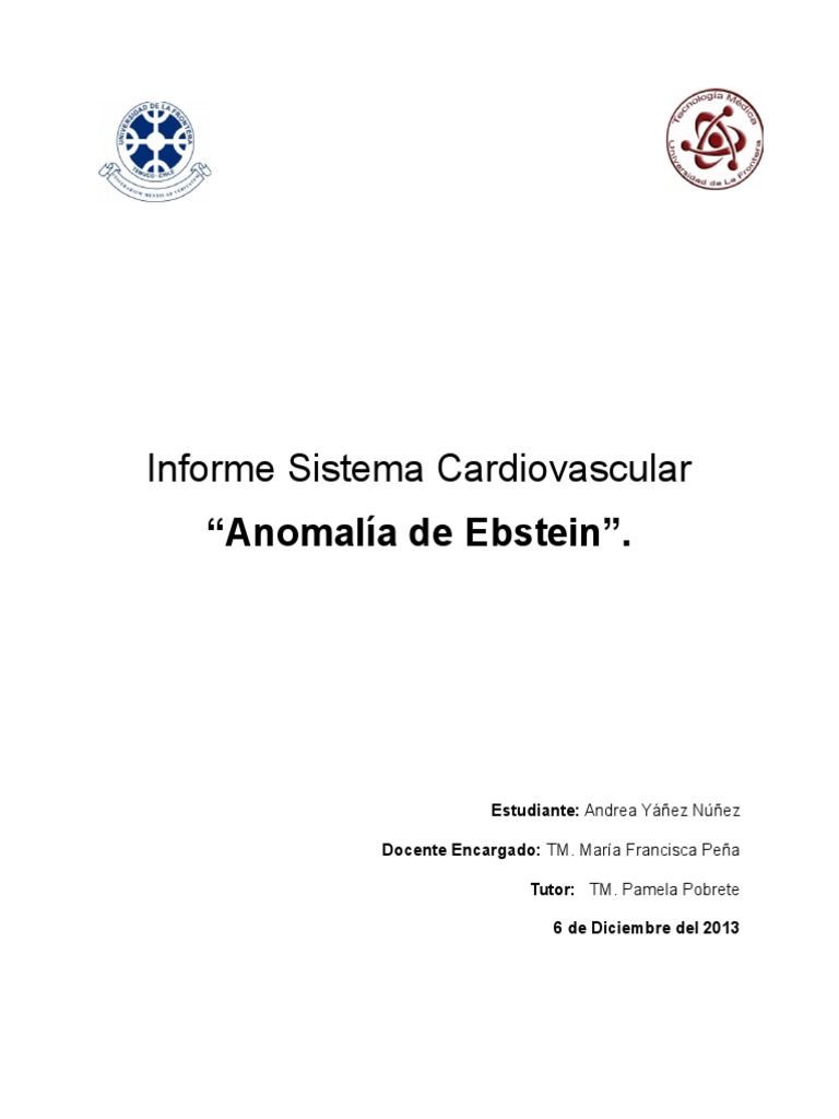 Informe Sistema Cardiovascular | PDF | Ventrículo (corazón) | Sistema ...
