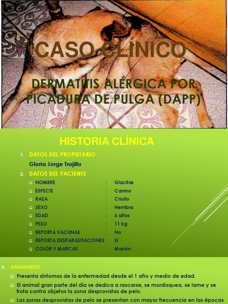 DAPP | PDF | Alergia | Inmunología