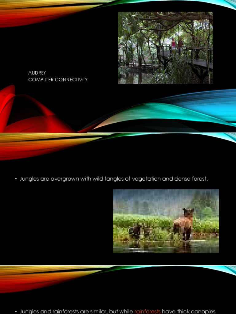 Understanding Jungle Ecosystems | PDF | Religion & Spirituality ...