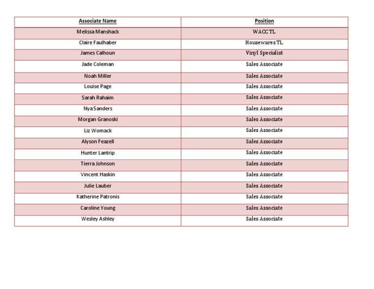 Team Member Roles and Positions List | PDF