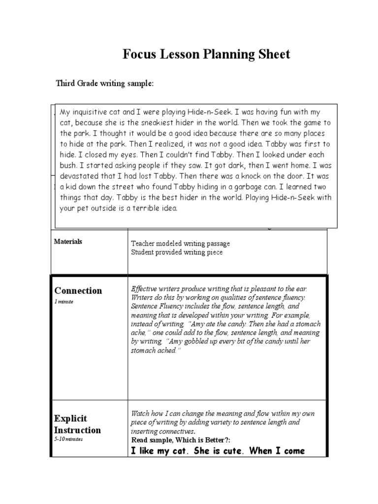 Focus Lesson Planning Sheet: Third Grade Writing Sample | PDF ...
