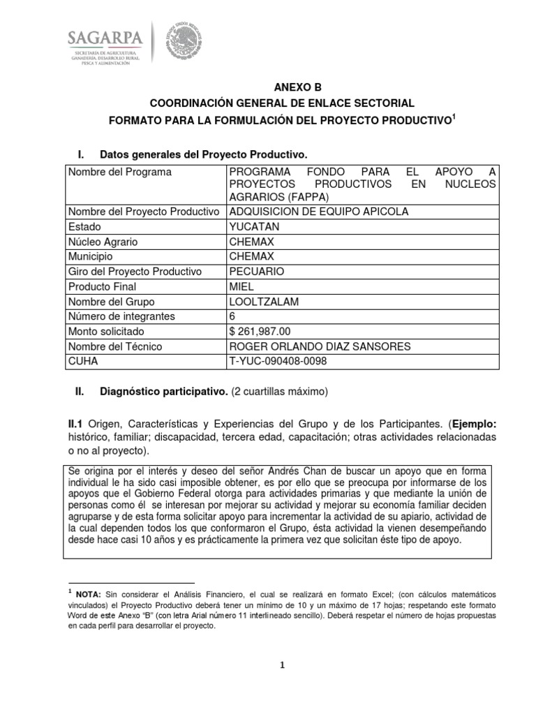Anexo B. Formulación Del Proyecto Productivo - Fappa | Descargar gratis ...