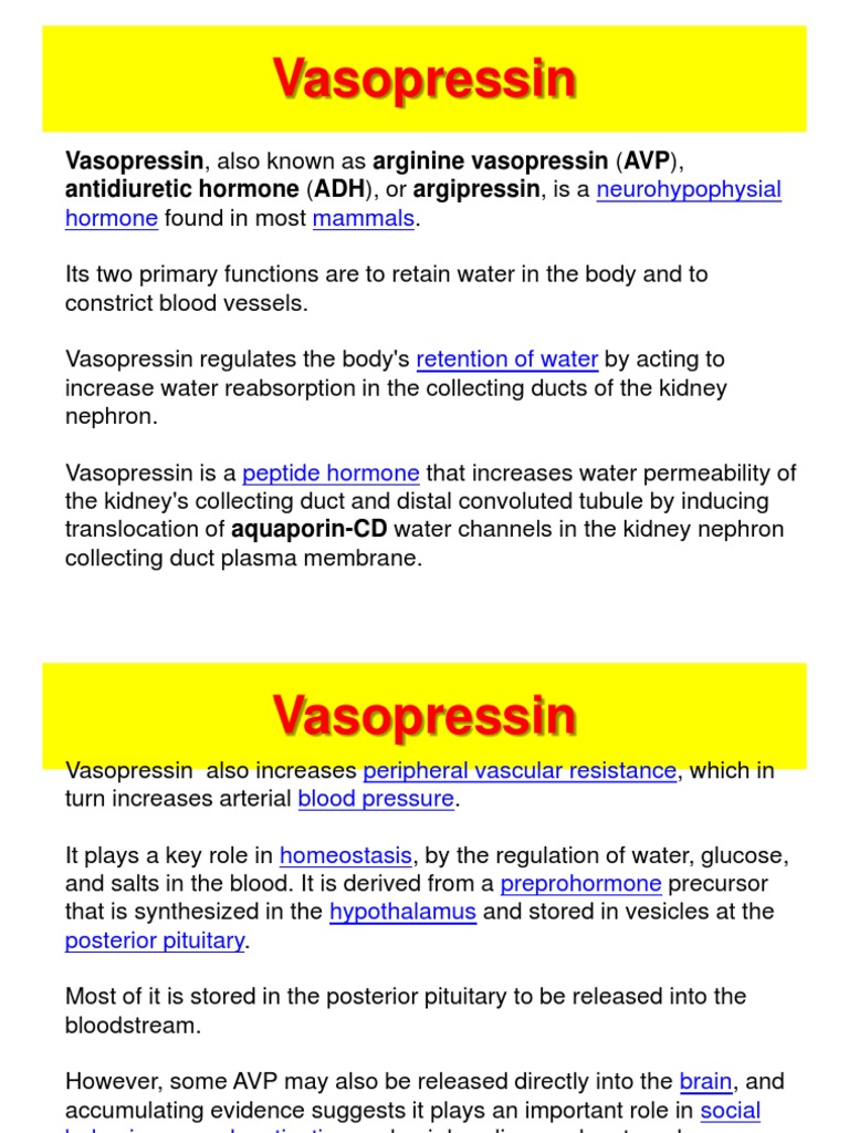 Vasopressin | PDF | Glands | Anatomy