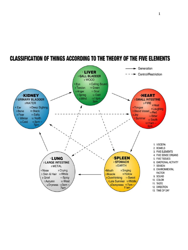 The Five Elements Theory | PDF | Medical Specialties | Medicine