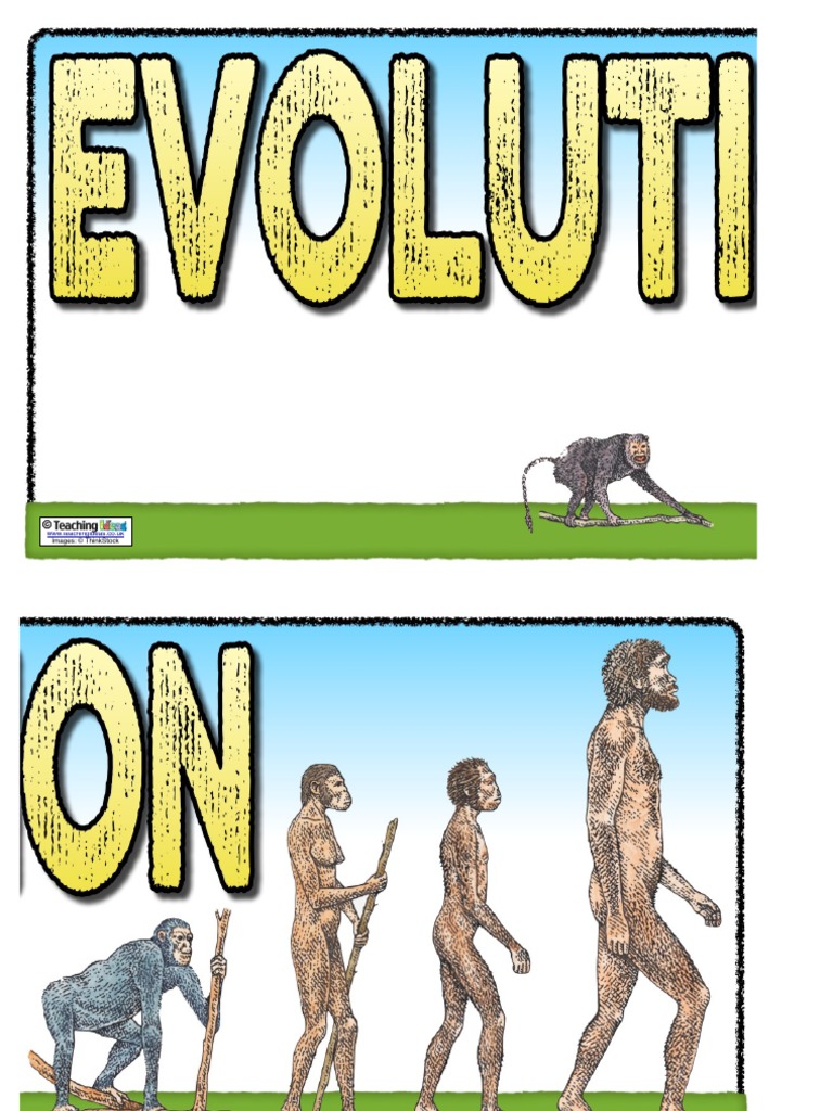 Display Banner - Evolution | PDF | Computers