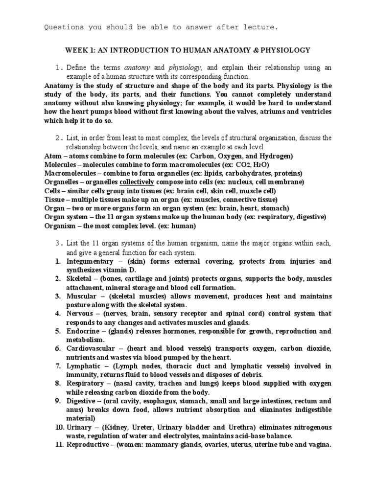 Unit 1 - Anatomy Study Guide | PDF | Anatomical Terms Of Location ...