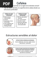 Banderas Rojas en Cefalea | PDF | Dolor de cabeza | Medicina CLINICA