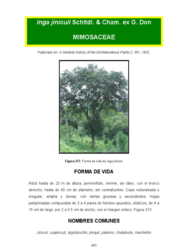 Inga Jinicuil | PDF | Germinación | Semilla