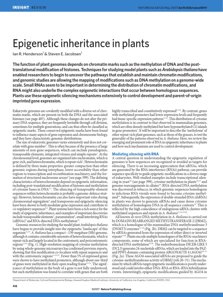 Epigenetic Inheritance in Plants | PDF | Dna Methylation | Epigenetics