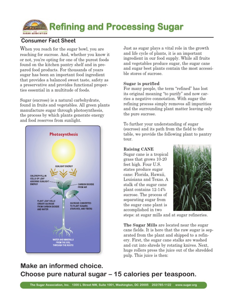 Sugar Refining Process Explained | PDF | Brown Sugar | Sugar
