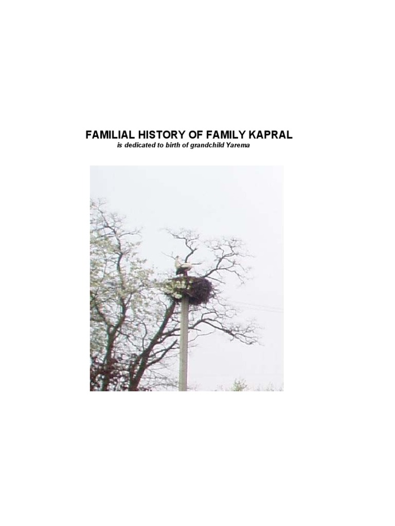 Kapral Family History and Emigration | PDF | Ukraine | Europe Travel