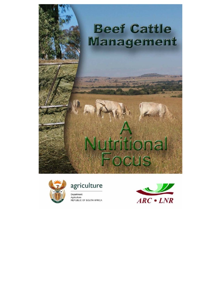 Beef Cattle Management | PDF | Home & Garden | Wellness
