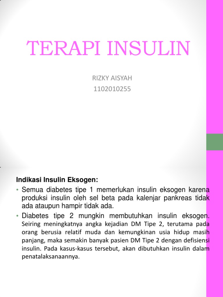 Terapi Insulin | PDF