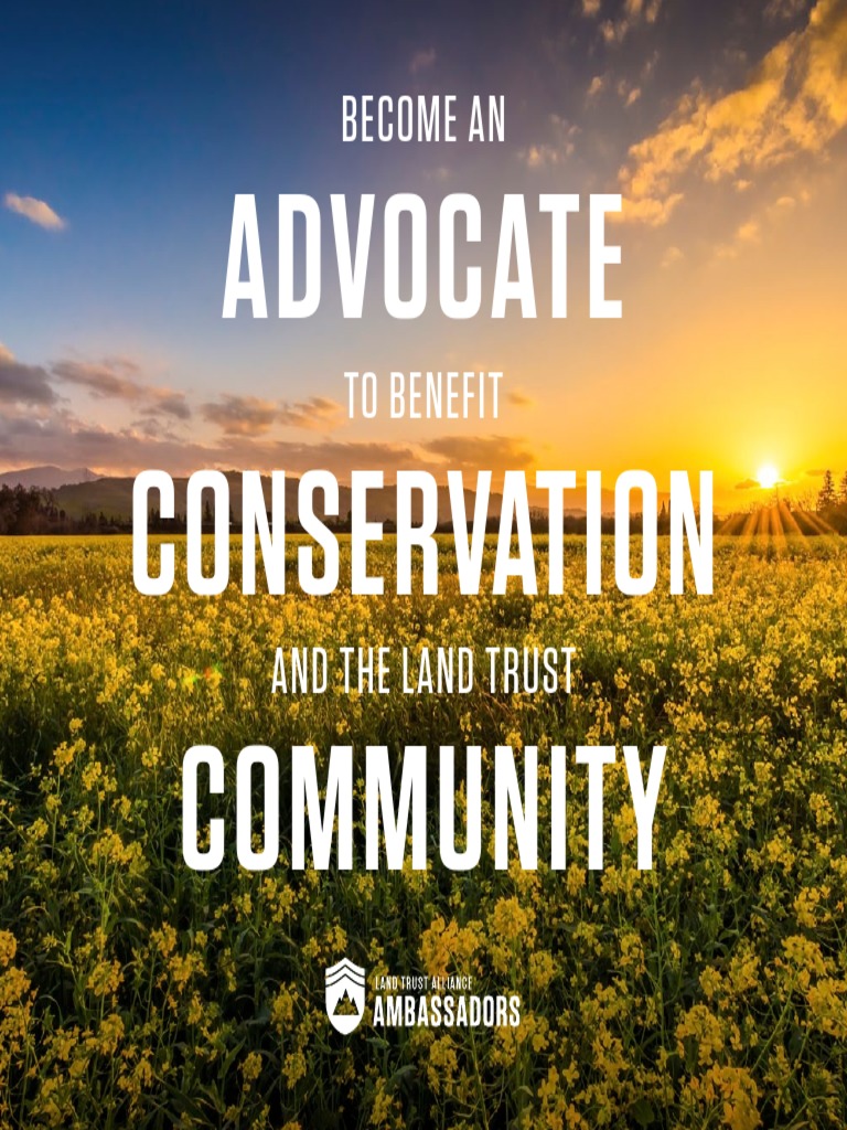 Ambassadors Brochure | PDF | United States Congress | American Government