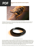 Cygnustech Macro Diffuser Manual | PDF