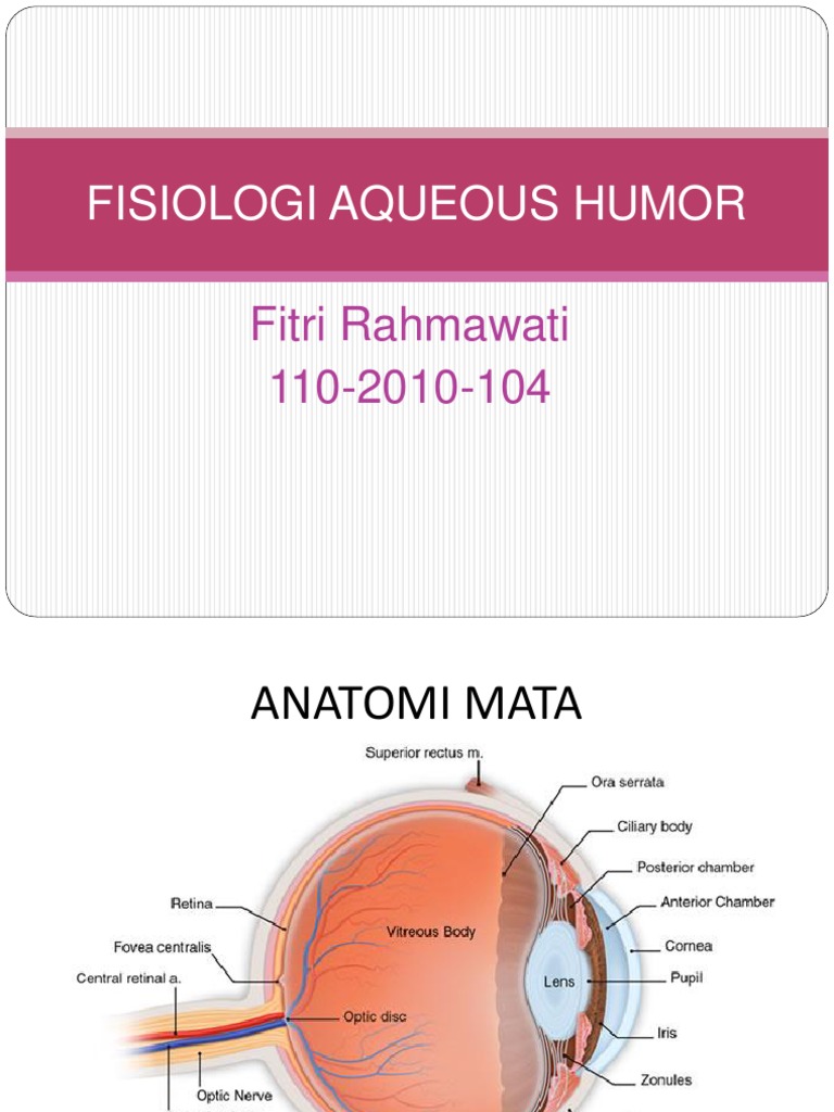 Fisiologi Aqueous Humor | PDF