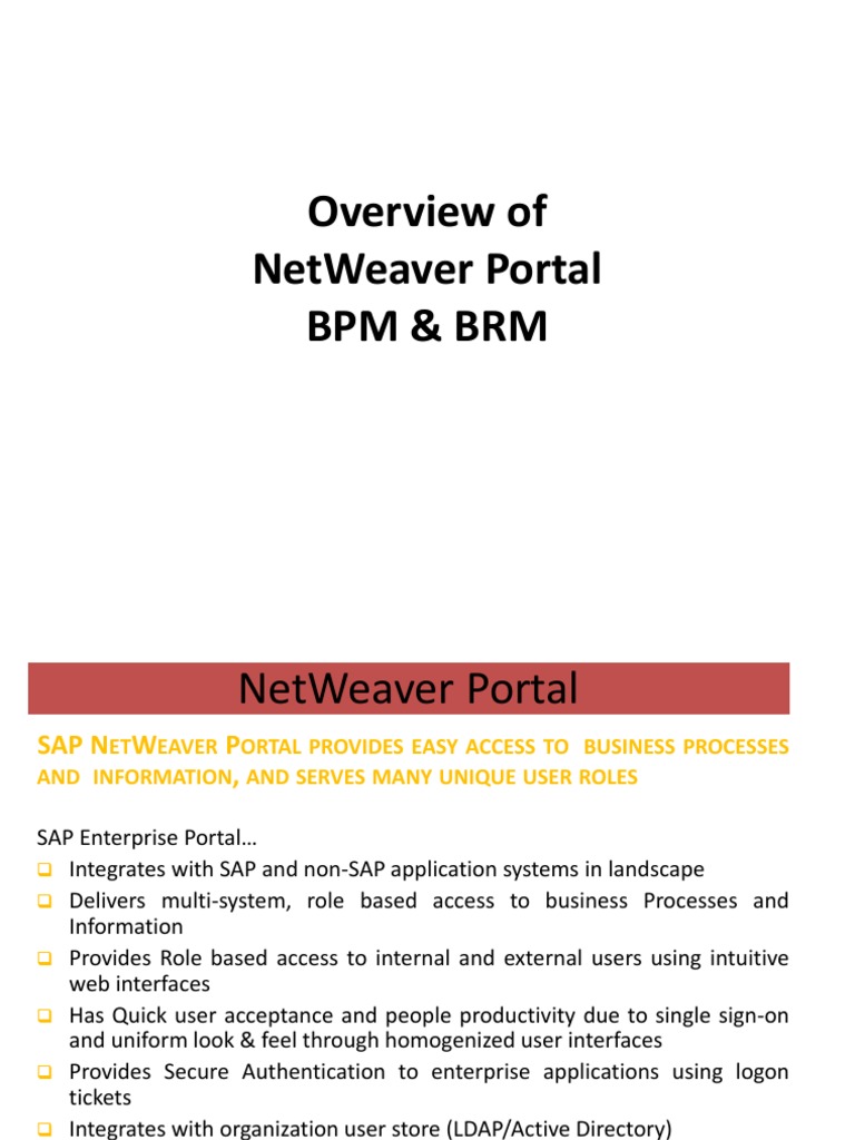 Sap Portal BPM and BRM | PDF | Business Process Management | Business ...