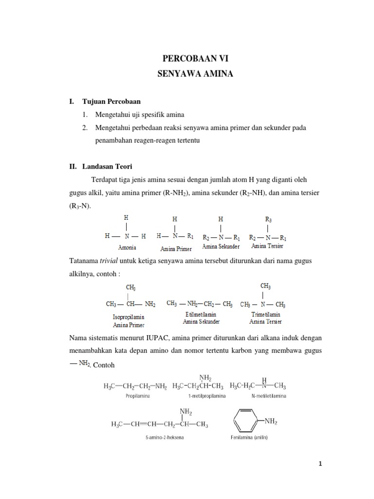 PERCOBAAN VI Senyawa Amina PDF | PDF