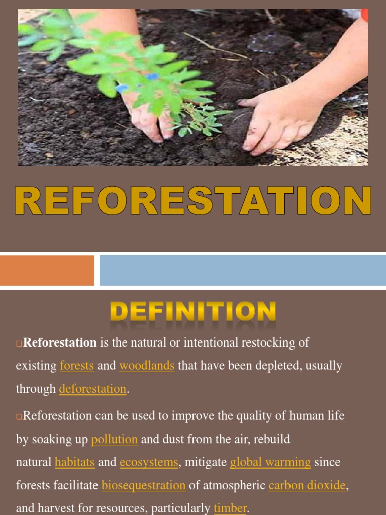 Presentation1ss Reforestation | Ecology | Land Management