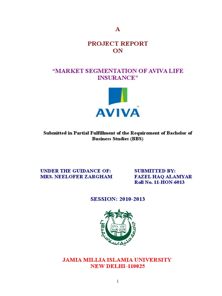 Aviva Life Insurance Market Segmentation Report | PDF | Insurance | Pension