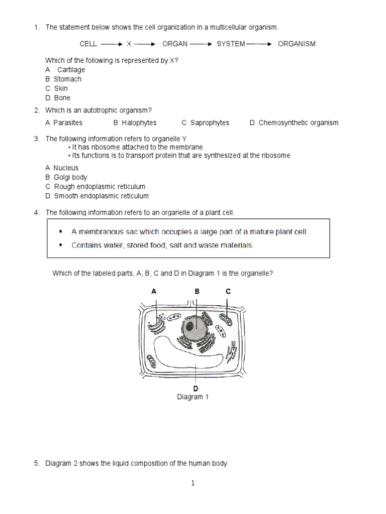 Form 4 Biology Exam Questions | PDF | Endoplasmic Reticulum | Cell Biology