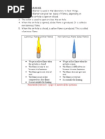Bunsen Burner Labeling Guide | PDF