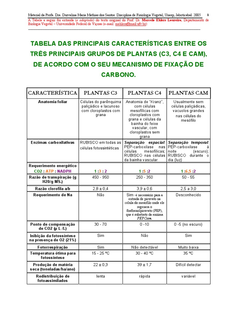 TEXTO_07_TABELA_DAS_PRINCIPAIS_DIFERENCAS_ENTRE_PLANTAS_C3__C4_E_CAM ...