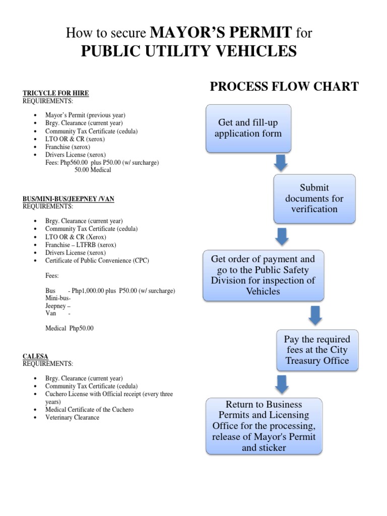 Vigan Requirements in Securing Business Permit & Flow Chart | Fee | Taxes