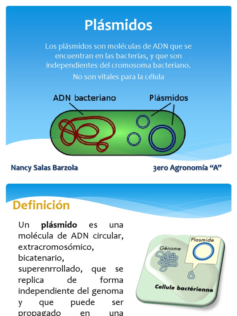 Plásmidos | Plásmido | Las bacterias