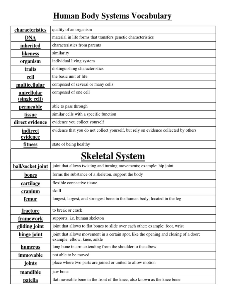 Human Body Systems Essential Vocabulary | PDF | Lung | Heart
