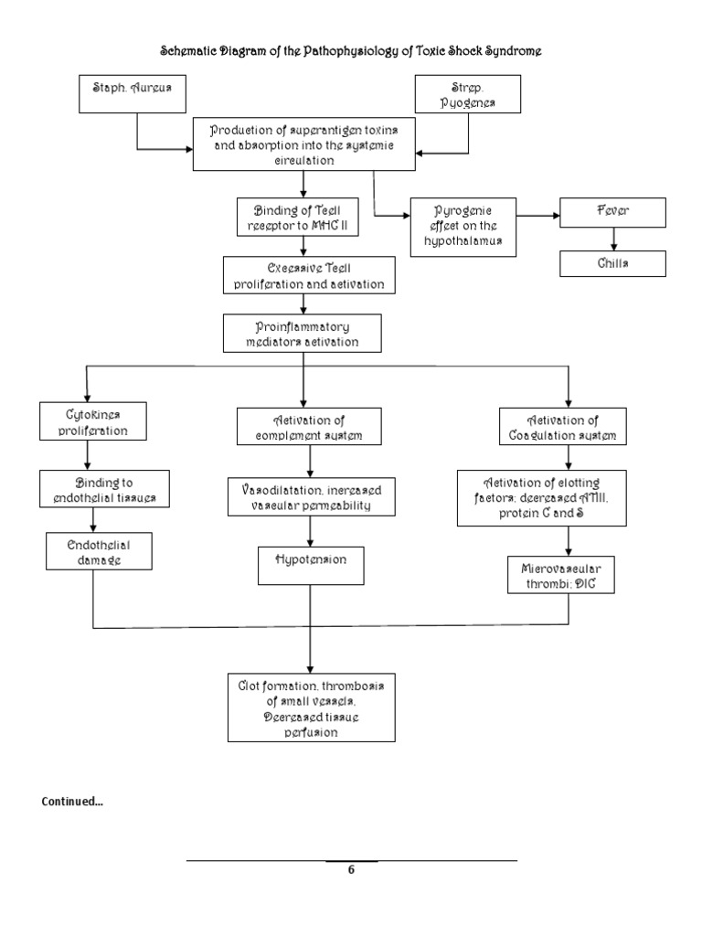 Schematic Diagram of The Pathophysiology of Toxic Shock Syndrome | PDF ...