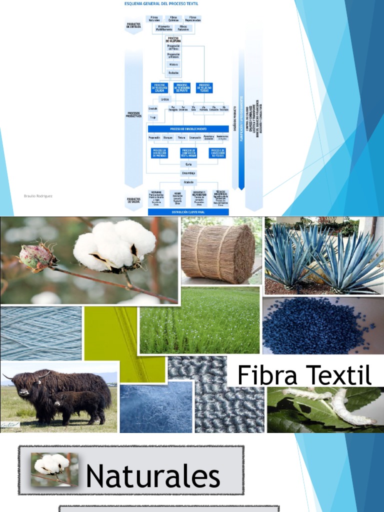 Clasificación y Tipos de Fibras Textiles | PDF | Fibra sintética ...