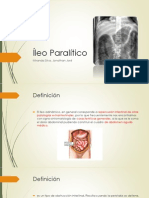 Clase Ileo Obstructivo y No Obstructivo | PDF | Intestino grueso | Abdomen