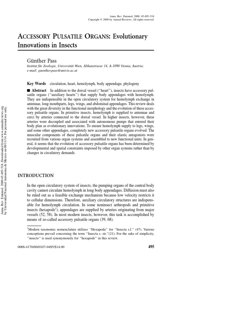 Accessory Pulsatile Organs | PDF | Circulatory System | Insects