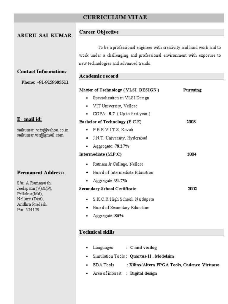 Curriculum Vitae | PDF | Digital Technology | Computing