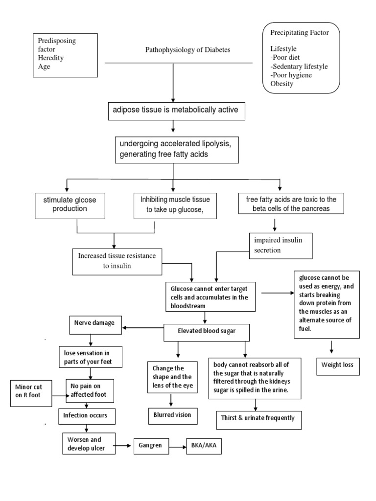 Pathophysiology of Diabetes | PDF | Insulin Resistance | Diabetes Mellitus