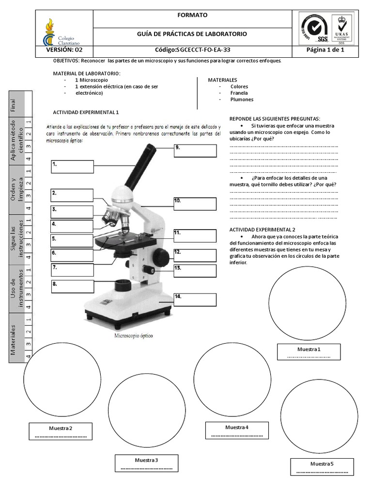 Partes y Uso del Microscopio | PDF