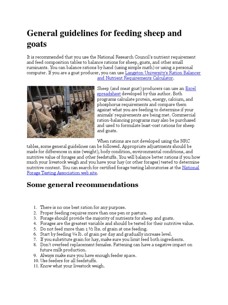 General Guidelines for Feeding Sheep and Goats | Sheep | Goat