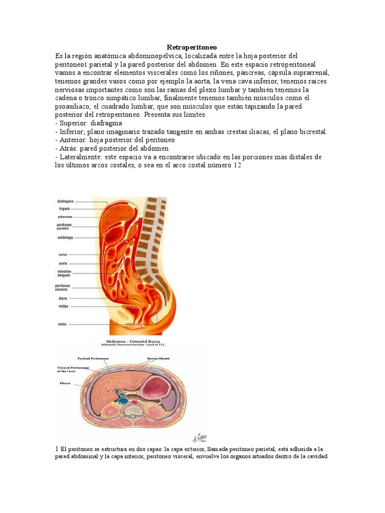 Retroperitoneo | PDF