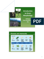 Understanding Grass Structure | PDF | Plants | Botany