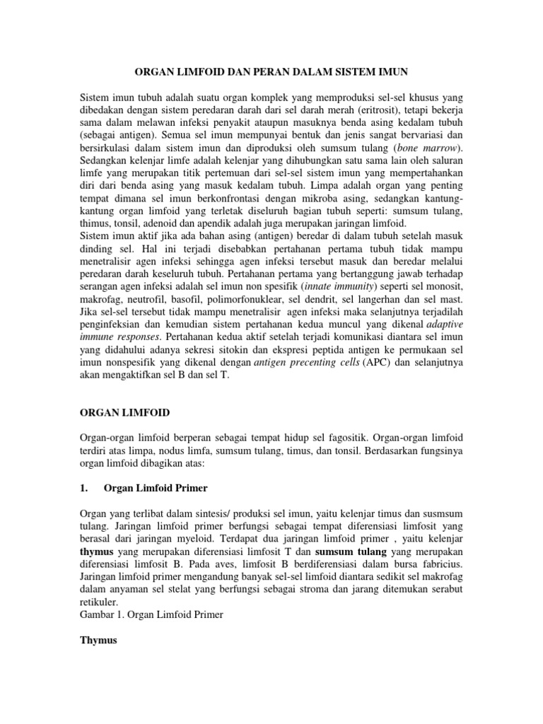 Organ Limfoid Dan Peran Dalam Sistem Imun | PDF | Ilmu Sosial ...