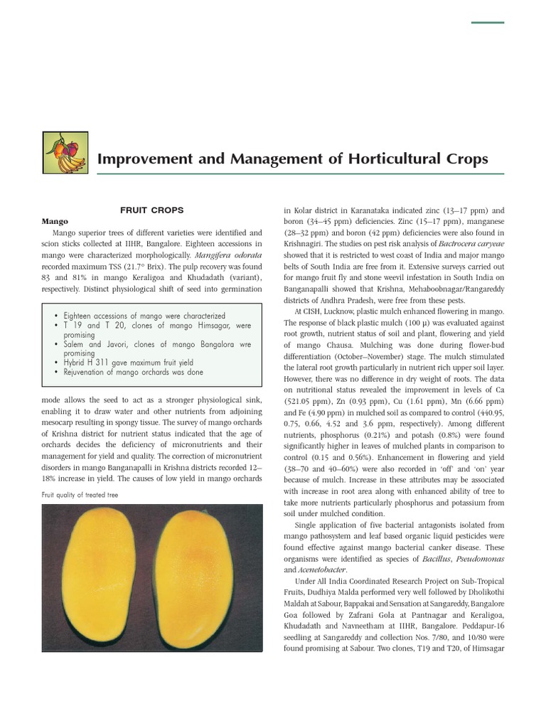 Improvement and Management of Horticultural Crops | PDF | Grafting | Grape