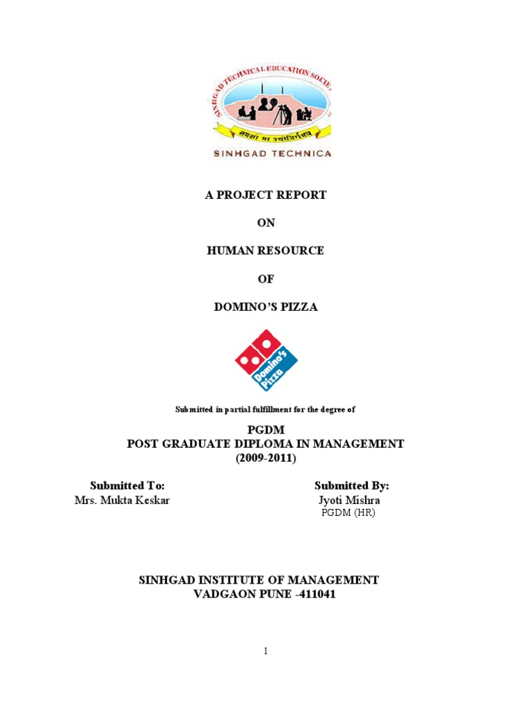 Domino's Pizza HR Overview Report | PDF | Domino's Pizza | Business