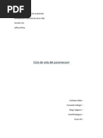 Partes y características del paramecio | PDF | Bioquímica | Química