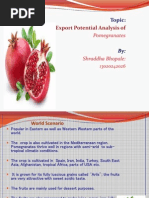 1 - Chichewa Guide - Nthondo | PDF | Mystery, Thriller & Crime Fiction