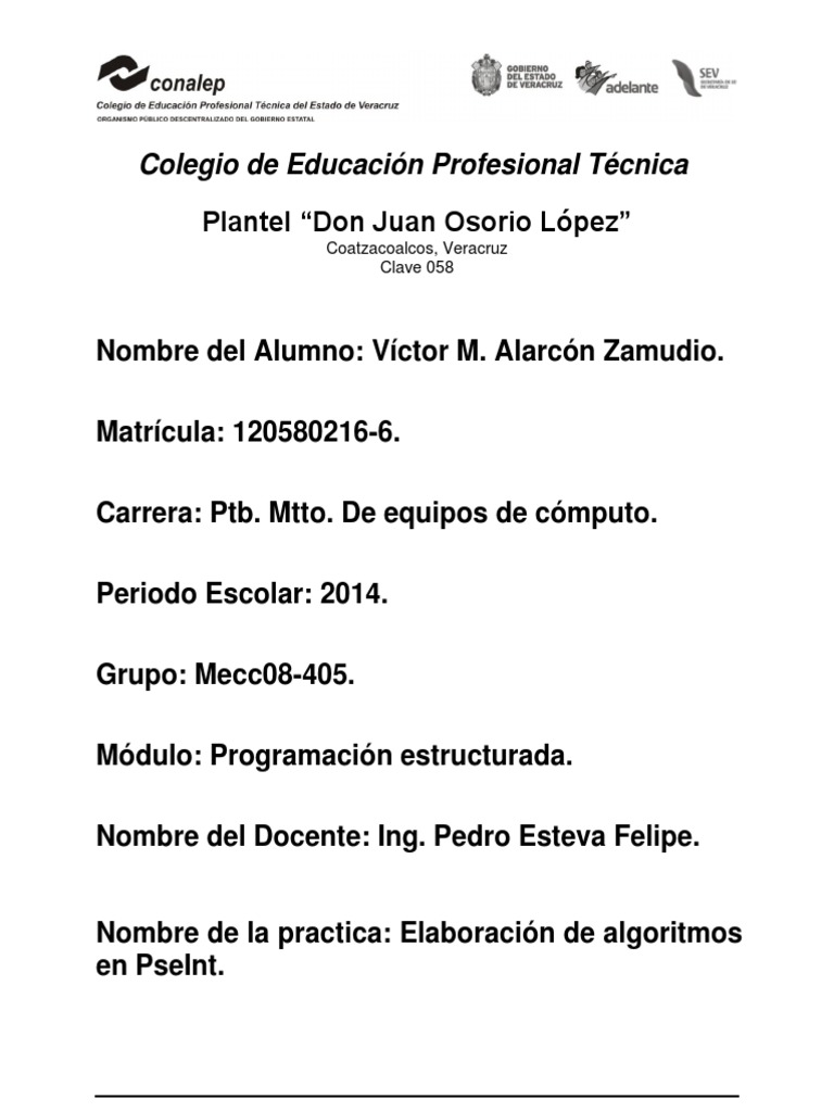 Algoritmos en PSeInt: Guía Práctica | PDF | Programa de computadora | Programación