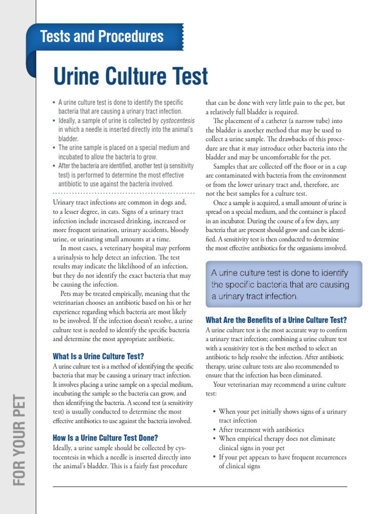Urine Culture Test: Tests and Procedures | PDF | Urinary Tract ...