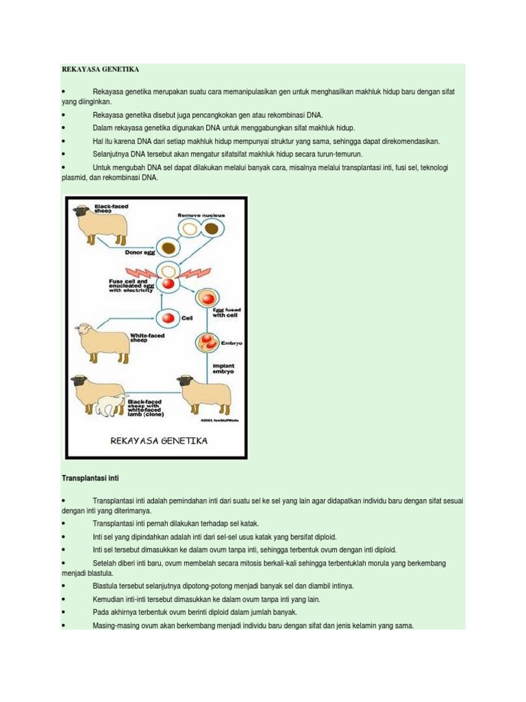 Rekayasa Genetika | PDF